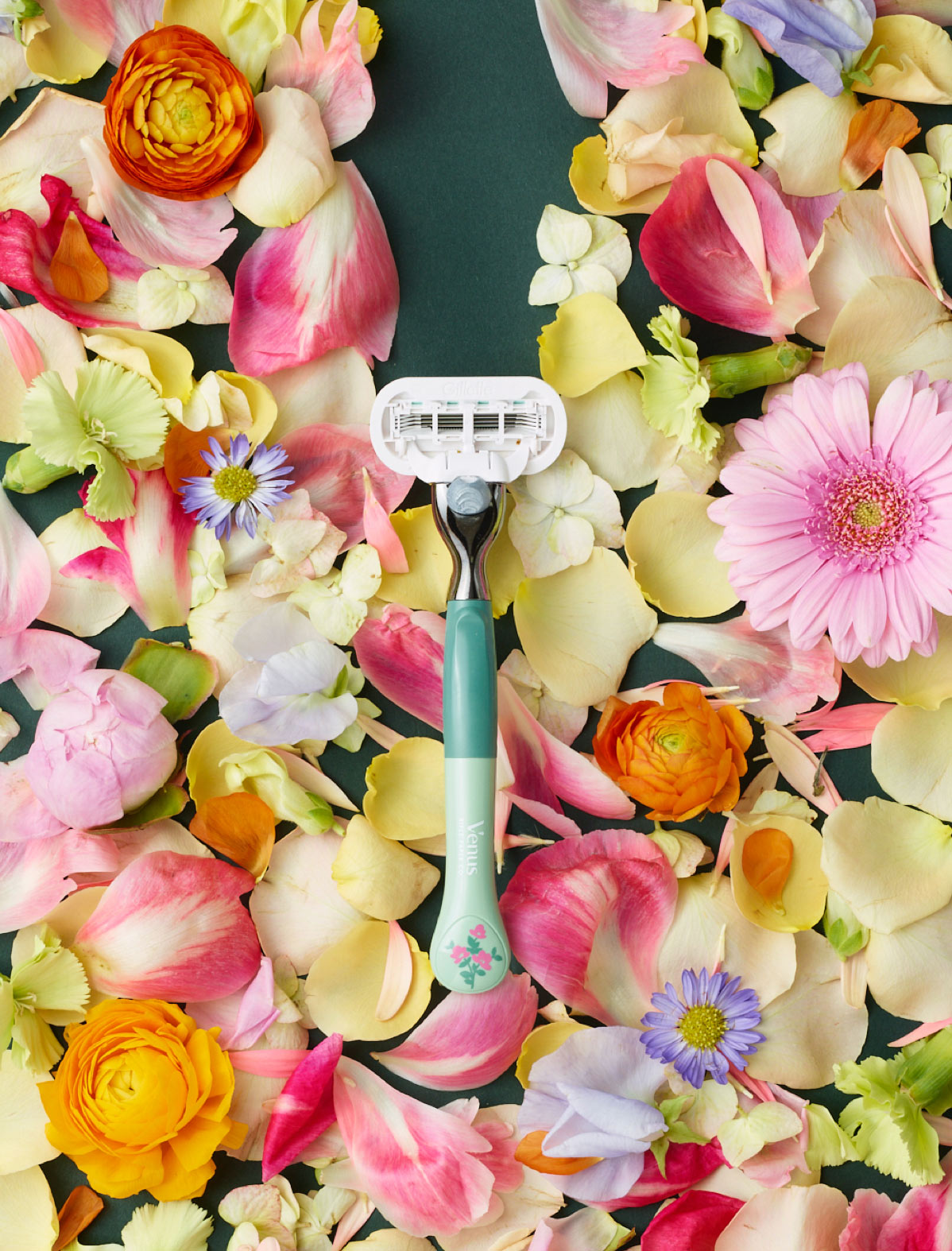 Venus – Rifle Paper Co