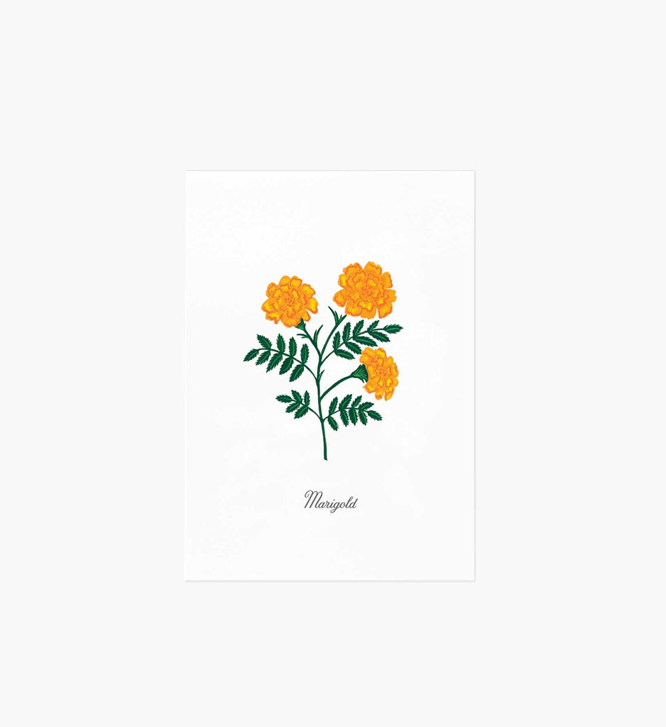 October Birth Month Art Print 5x7 | Rifle Paper Co.