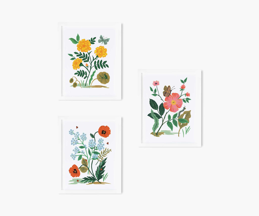 Art Prints | Rifle Paper Co.