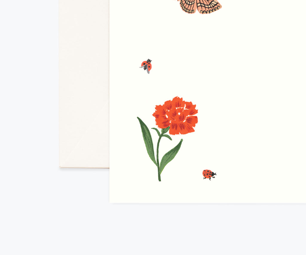 Everyday Personalized Stationery - Curio – Rifle Paper Co