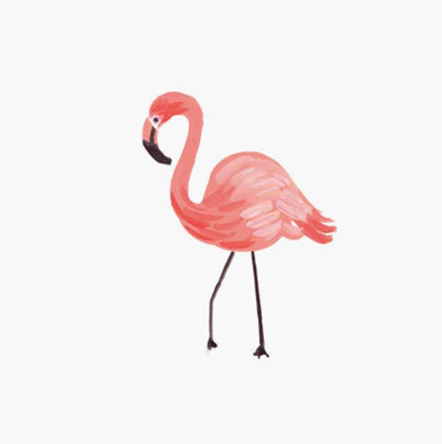 Flamingo Personalized Stationery Set | Rifle Paper Co.