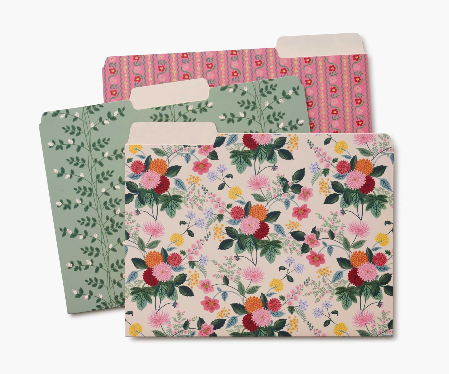 Dahlia Assorted File Folders Set of 6 | Rifle Paper Co.