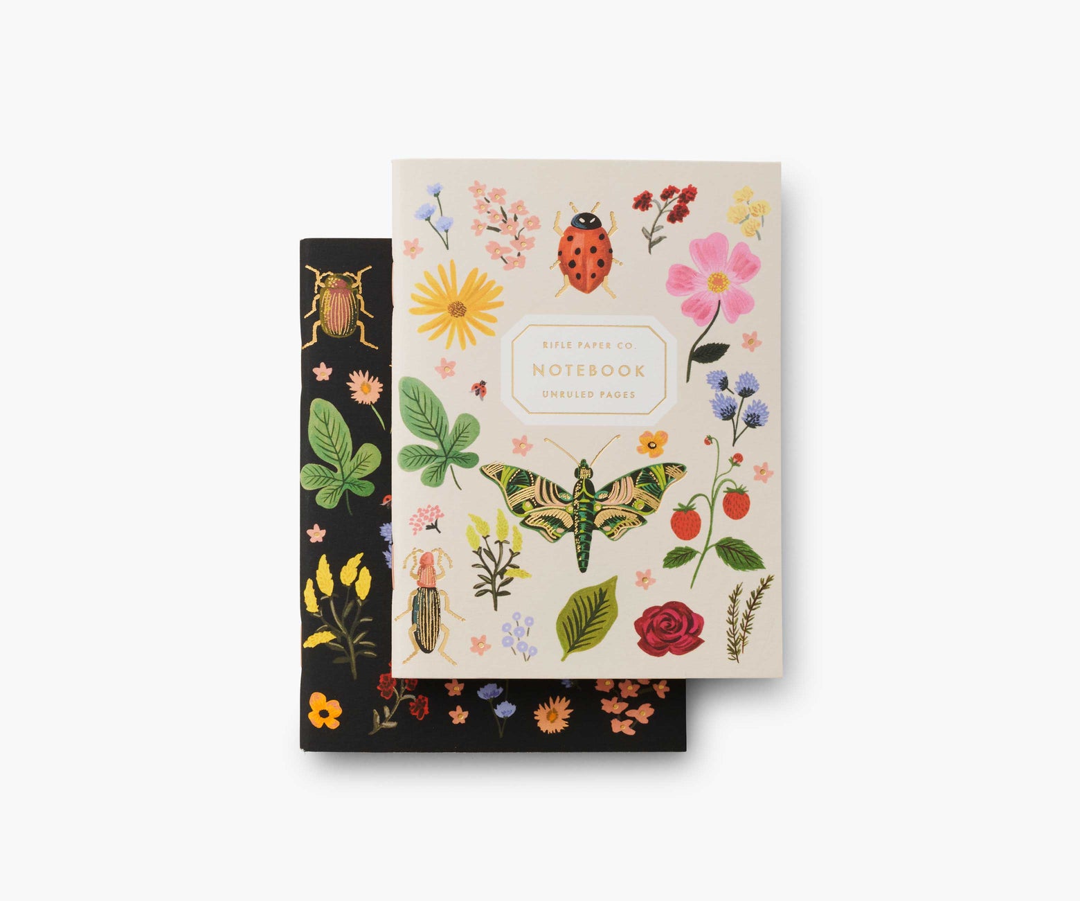Curio Pocket Notebook Set with Gold Foil | Rifle Paper Co.