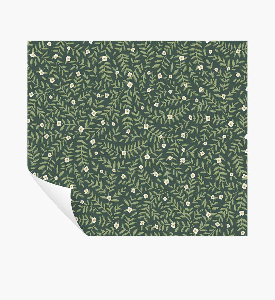 Premium Wallpaper: Floral Patterns & More | Rifle Paper Co.