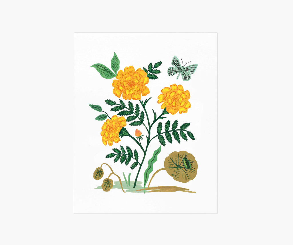 French Marigold Art Print – Rifle Paper Co