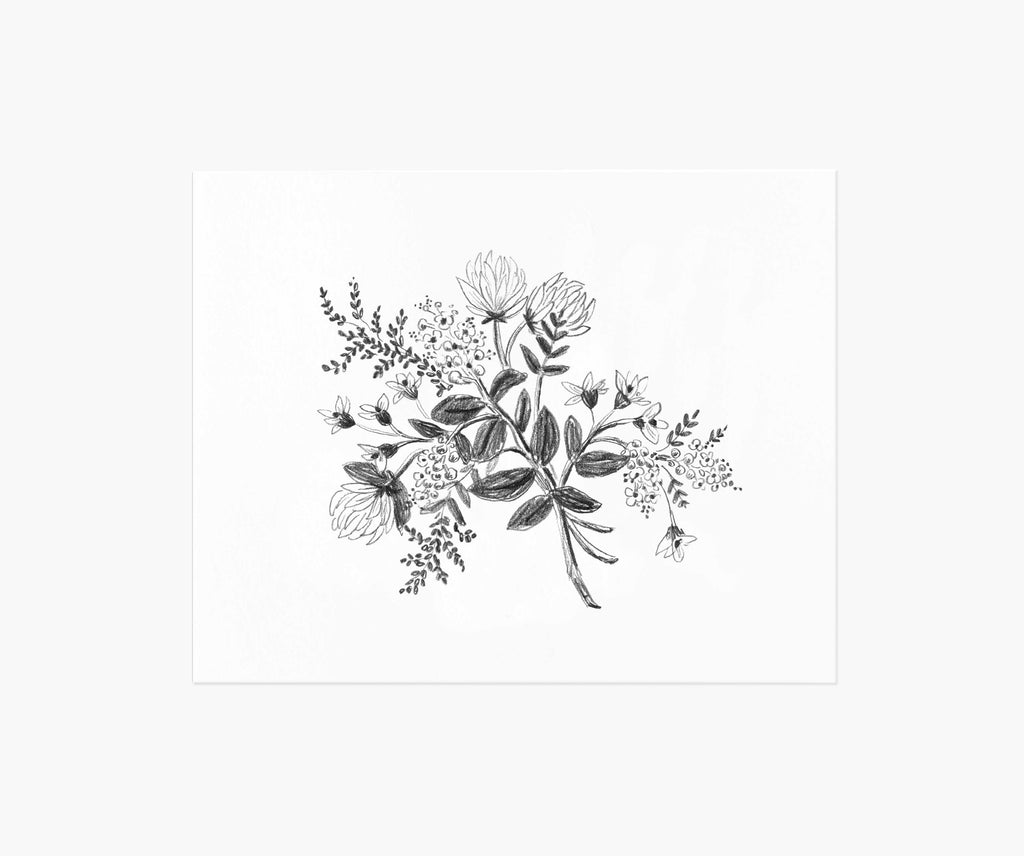 Clover Sketch Botanical Art Print | Rifle Paper Co.