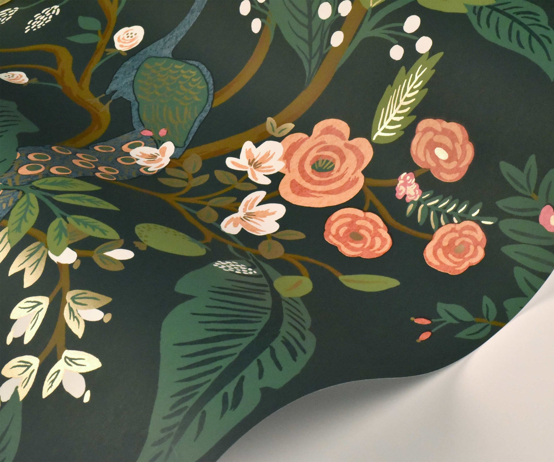 Peacock Wallpaper Sample - Blue & White – Rifle Paper Co
