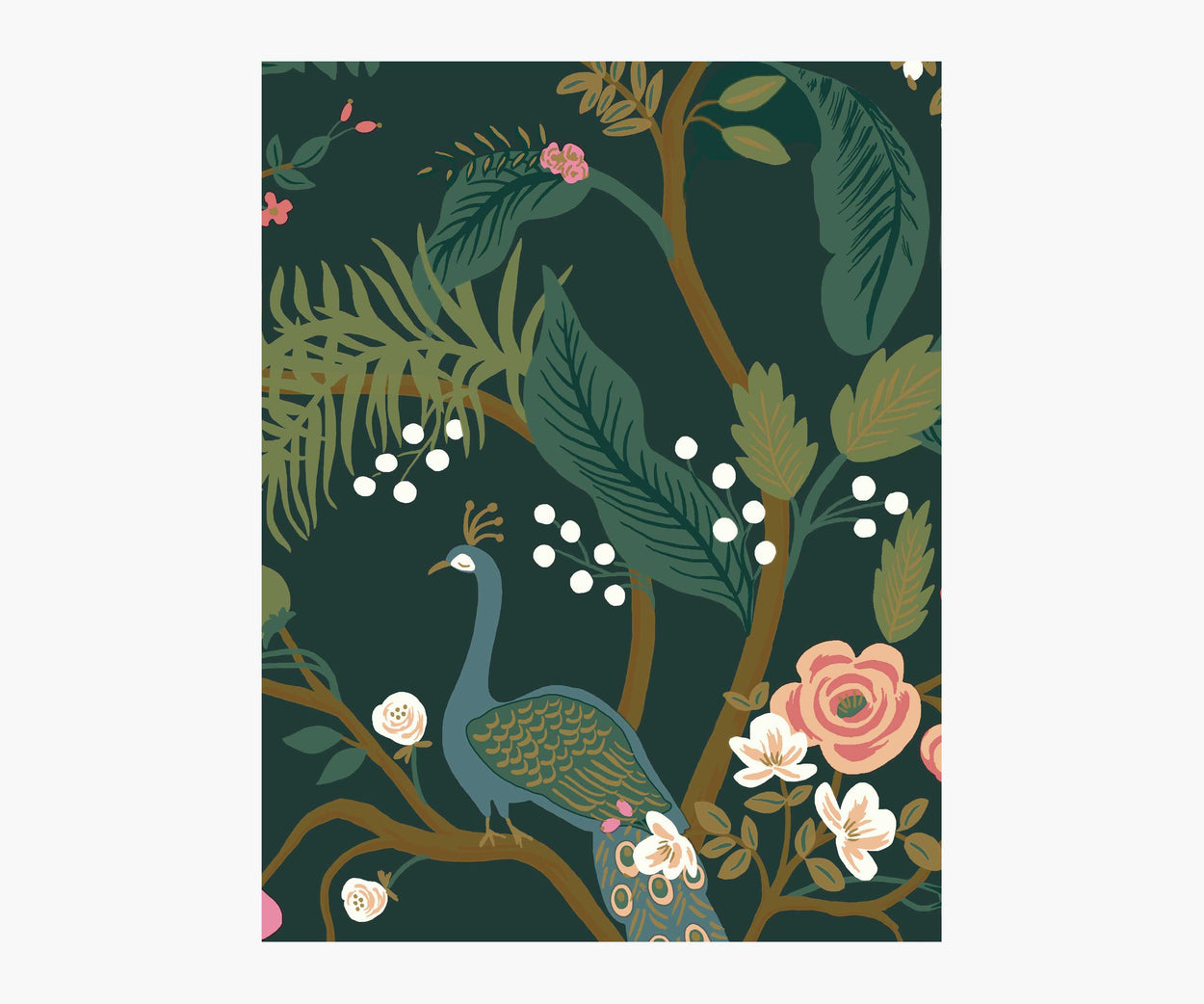 Peacock Wallpaper Sample - Blue & White – Rifle Paper Co