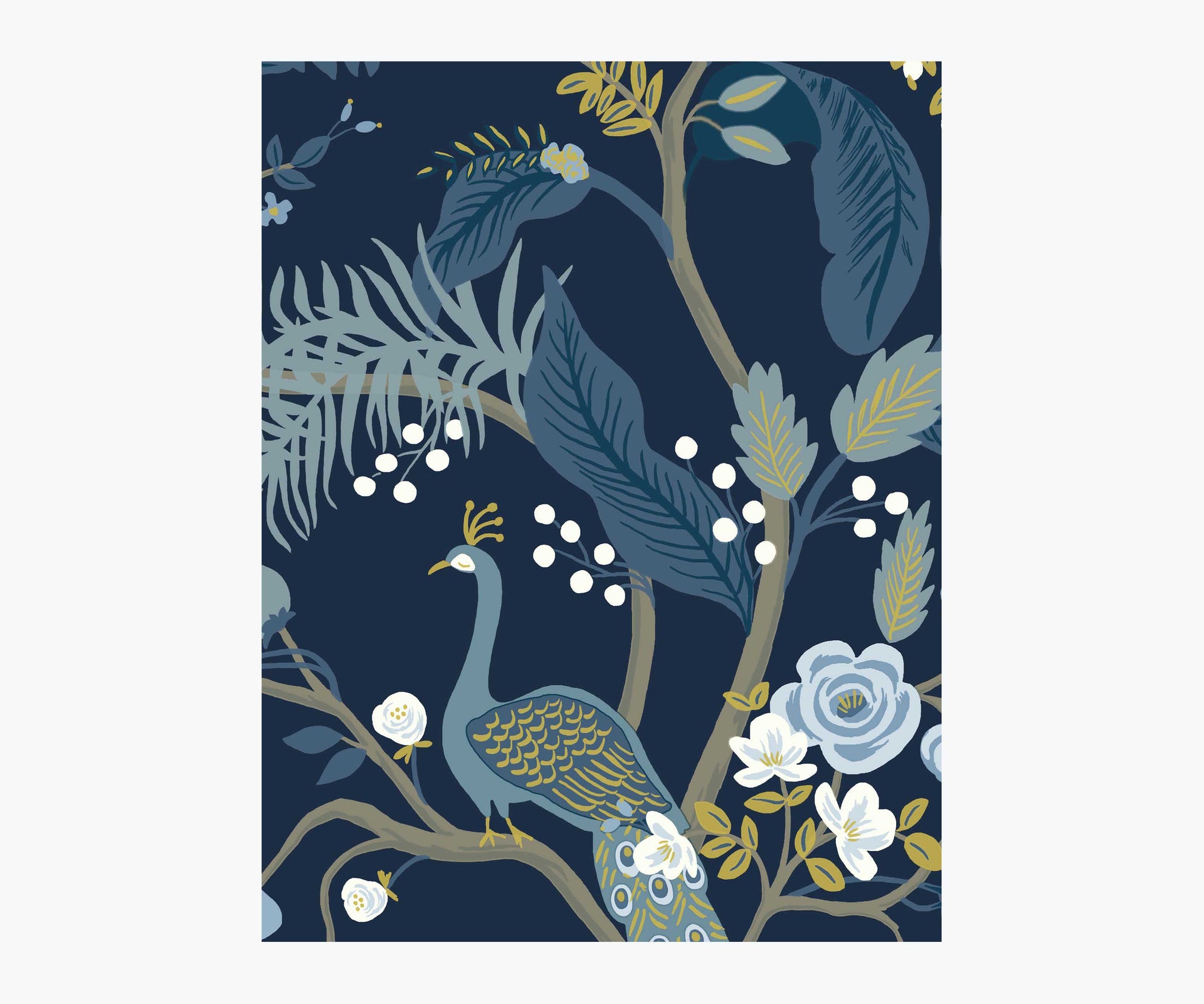 Peacock Wallpaper Sample - Blue & White – Rifle Paper Co