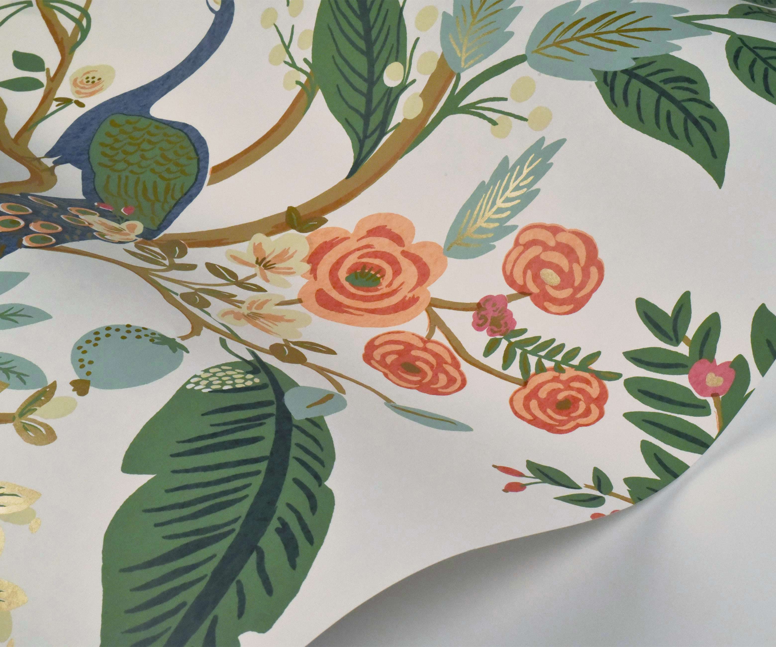 Peacock Wallpaper in Rouge | Rifle Paper Co.