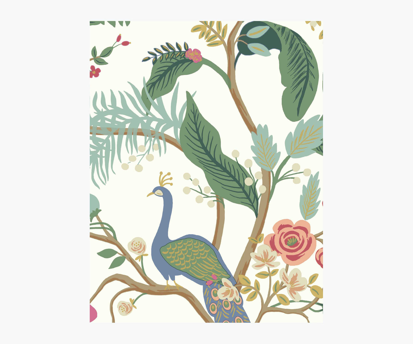 Peacock Wallpaper Sample - Blue & White – Rifle Paper Co