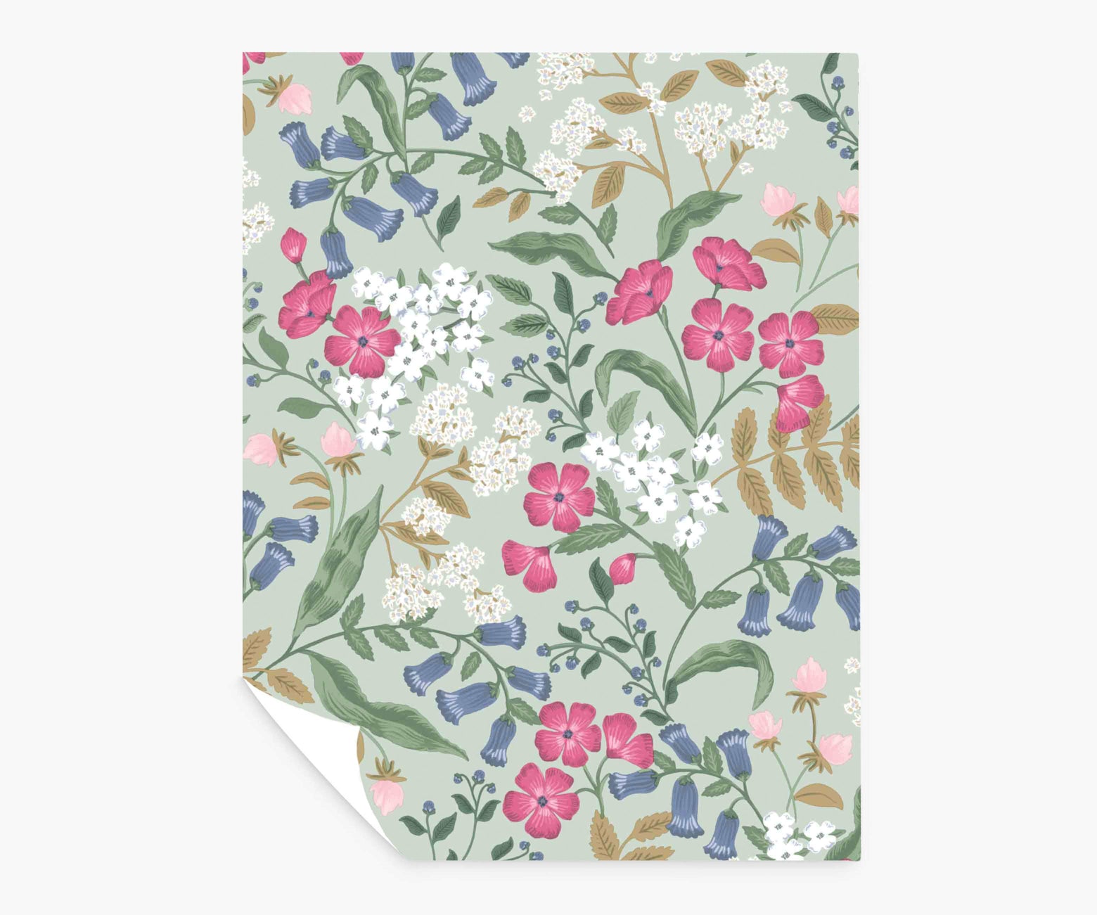 Sweetbrier Peel & Stick Wallpaper Sample | Rifle Paper Co.
