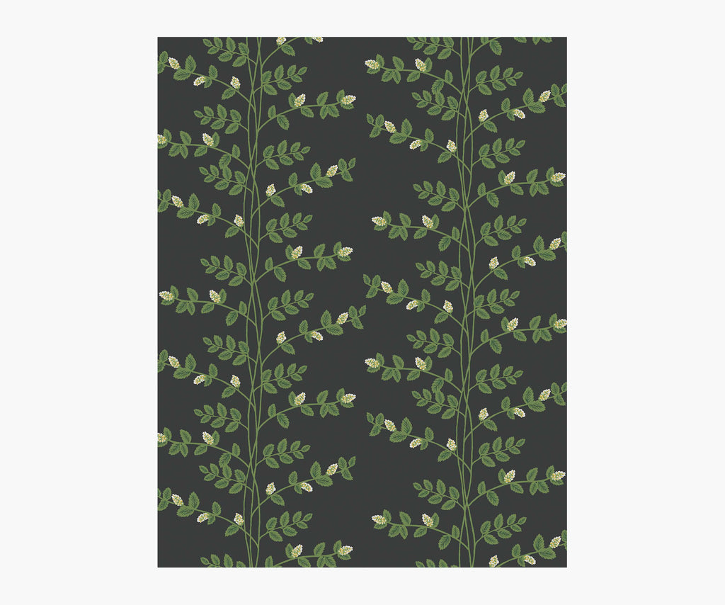 Climbing Vines Wallpaper Sample – Black | Rifle Paper Co.