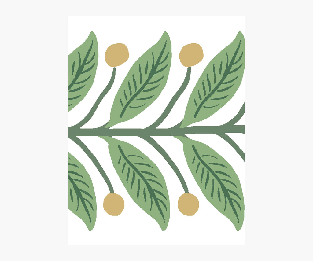 Wallpaper Borders | Rifle Paper Co.