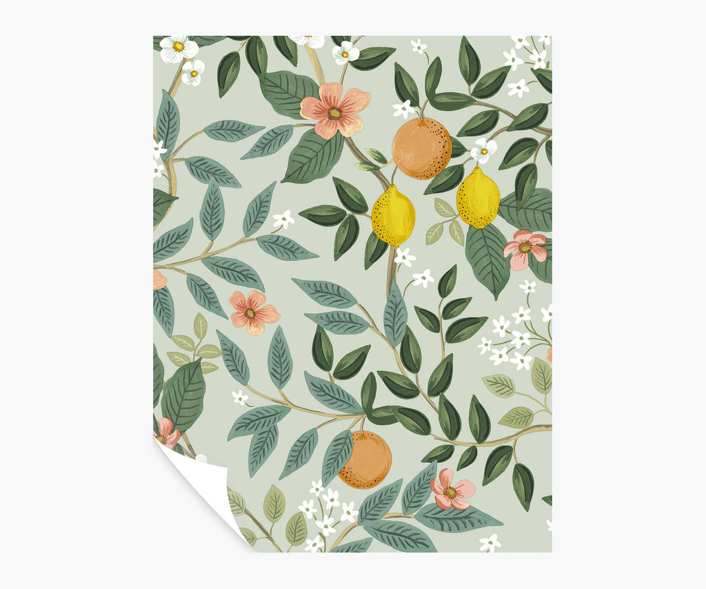 Citrus Grove Peel & Stick Wallpaper Sample - Mint – Rifle Paper Co